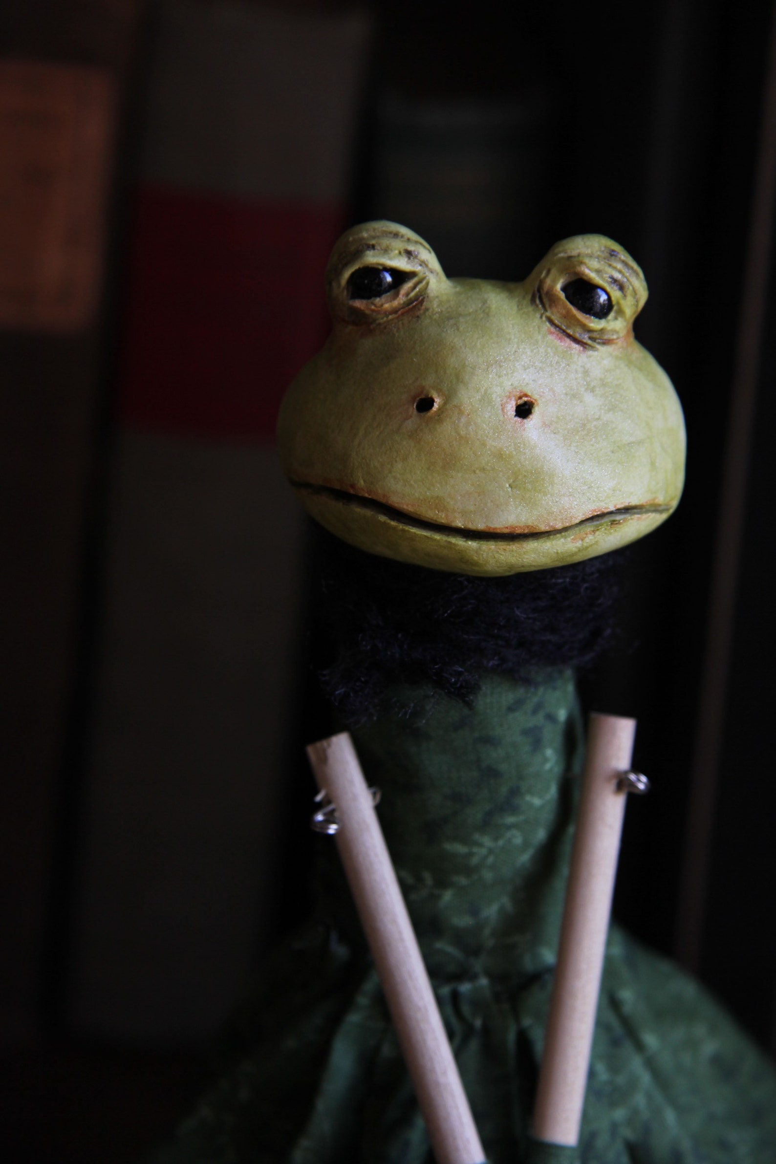 Lady Lidia the Frog Witch - Etsy