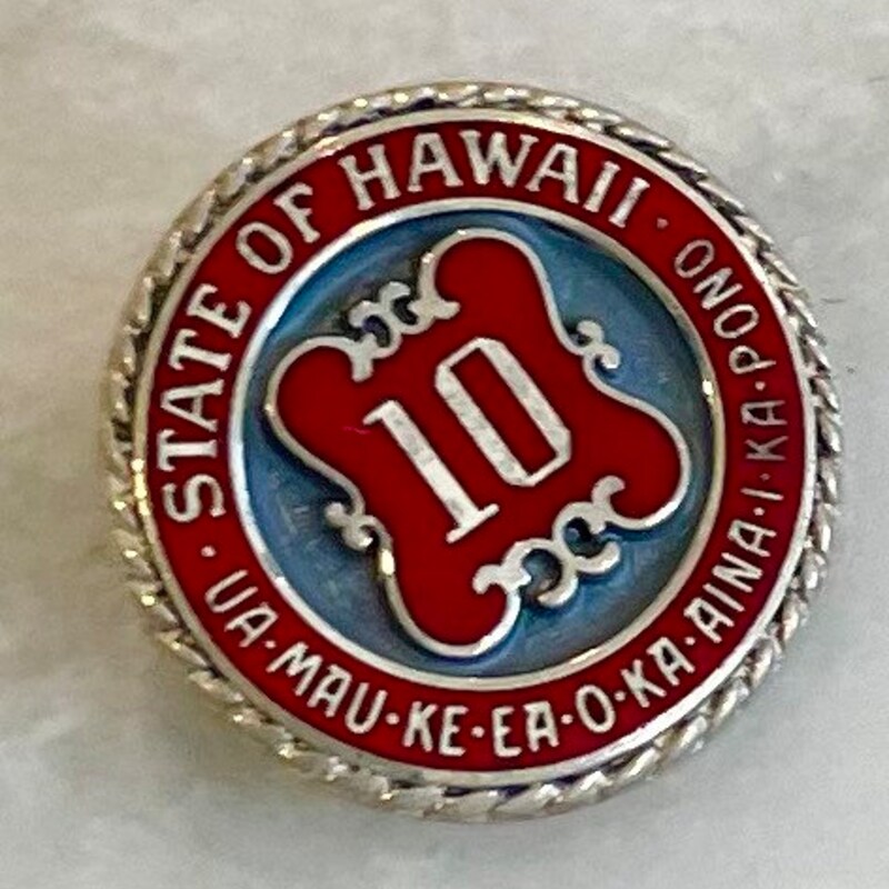 Hawaii Pin - Etsy