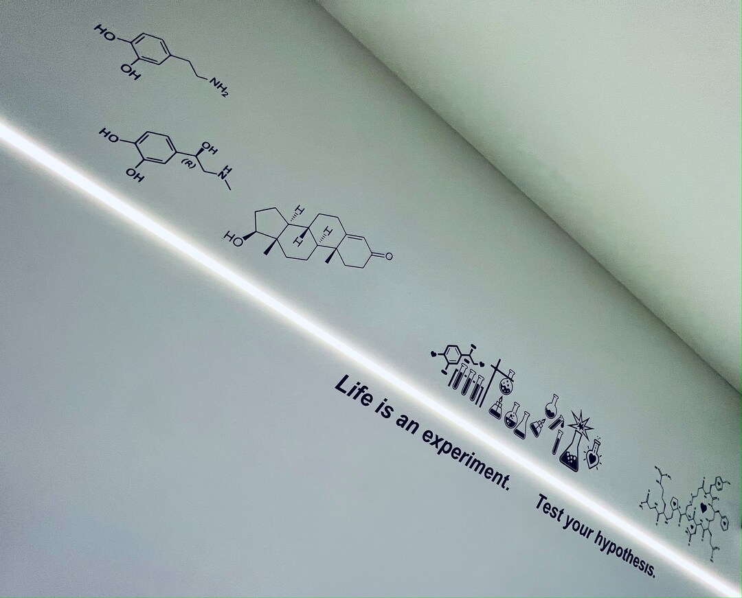 Bedroom Wall Decal Love Chemistry Formula Let Everybody Strain Their ...