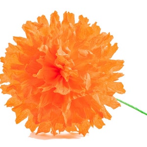 Set of Orange Cempasuchil Flower - Day of the Dead Flower - Marigold ...