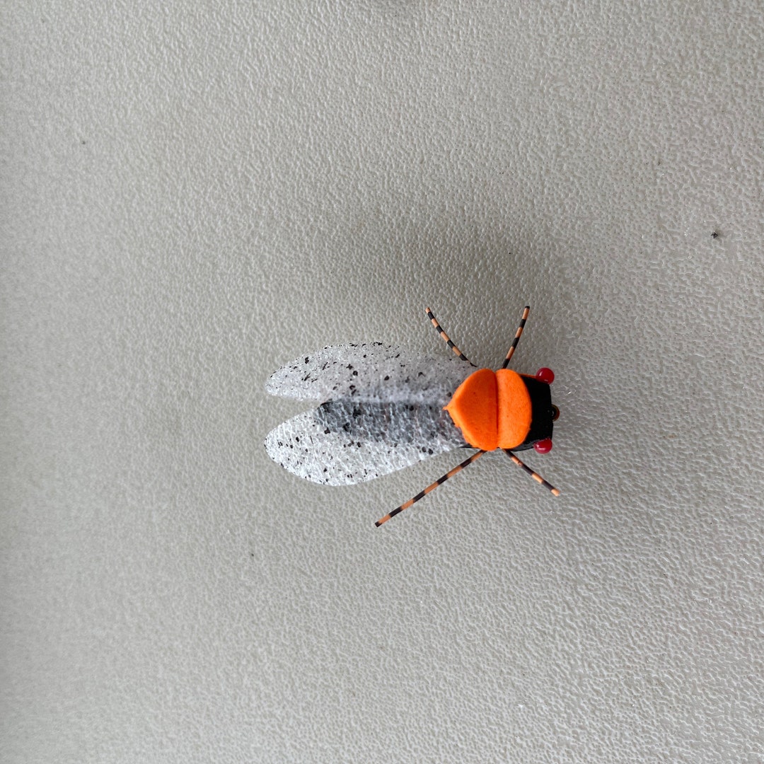 Cicada Black and Orange - Etsy