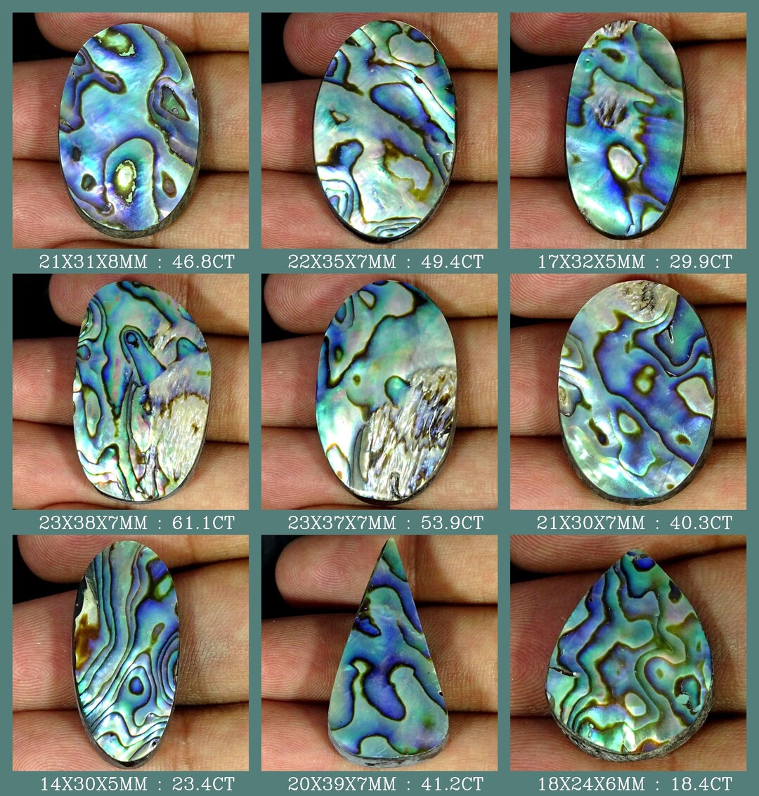 Natural Abalone Shell Cabochon, Multi Color Gemstone, Abalone Shell ...