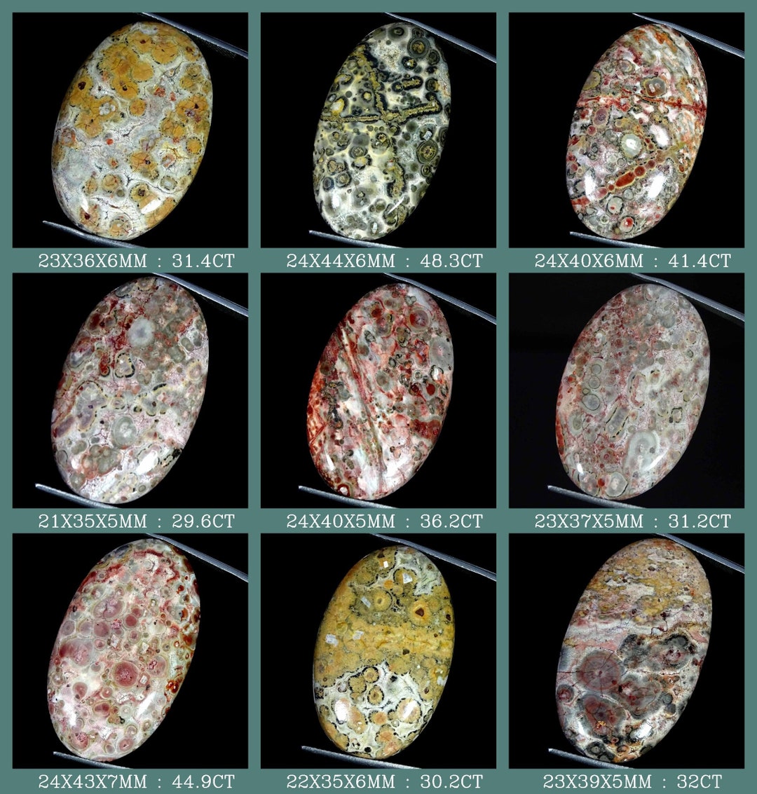 Natural Leopard Skin Jasper Gems/ Brown Jasper Cabochon/ Oval Jasper ...