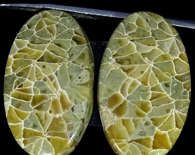 100% Natural Fossilized Coral Gemstone/ Coral Oval Cabs Pair/ AAA ...