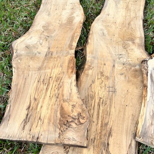 One Spalted Magnolia Live Edge Wood Slab up to 60 Long Will Cut to Size ...