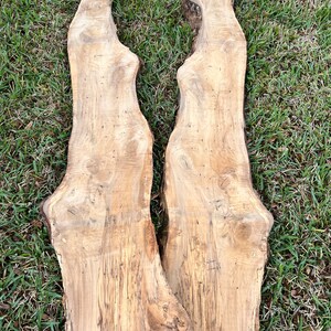 One Spalted Magnolia Live Edge Wood Slab up to 60 Long Will Cut to Size ...