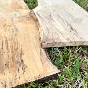 One Spalted Magnolia Live Edge Wood Slab up to 60 Long Will Cut to Size ...