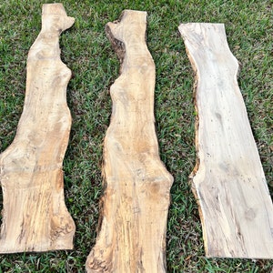 One Spalted Magnolia Live Edge Wood Slab up to 60 Long Will Cut to Size ...