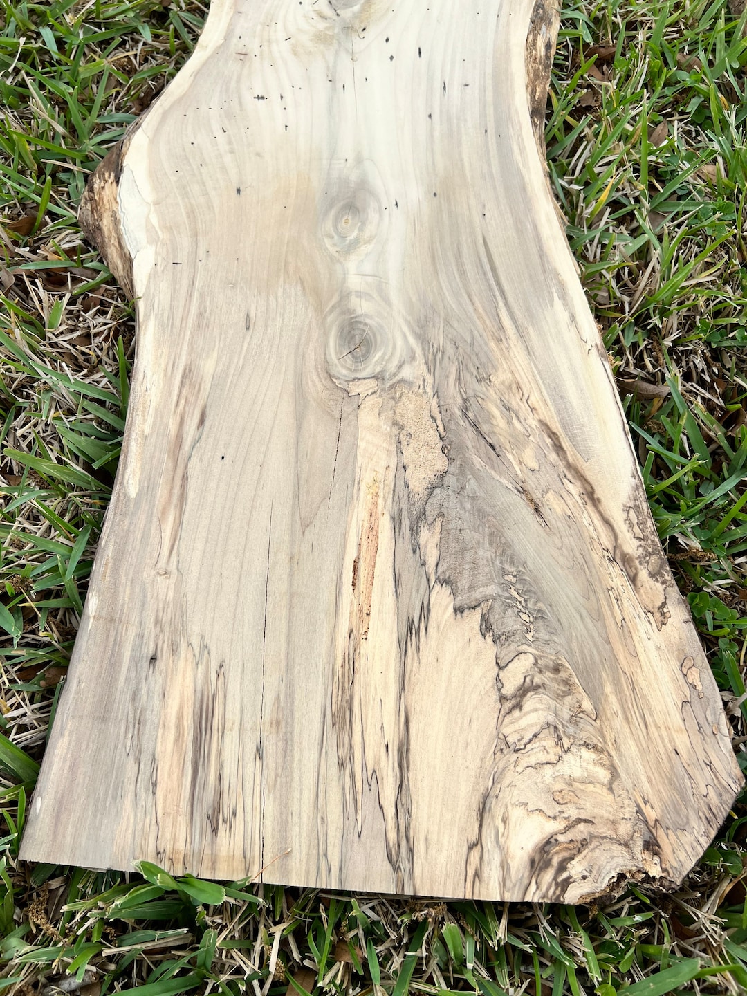One Spalted Magnolia Live Edge Wood Slab up to 60 Long Will Cut to Size ...
