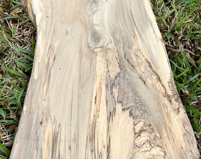One Spalted Magnolia Live Edge Wood Slab up to 60” Long Will Cut to ...