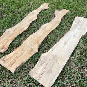 One Spalted Magnolia Live Edge Wood Slab up to 60 Long Will Cut to Size ...