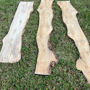 One Spalted Magnolia Live Edge Wood Slab up to 60 Long Will Cut to Size ...
