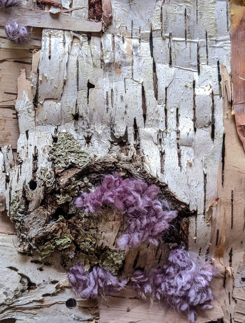 12x12", Birch, Michigan Birch, Weaving, Bark, Abstract Art, Fiber Art ...