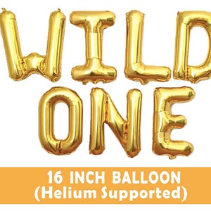 Wild One Balloons Birthday Party Decorations Wild One Cake Topper 1st ...