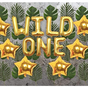 Wild One Balloons Birthday Party Decorations Wild One Cake Topper 1st ...
