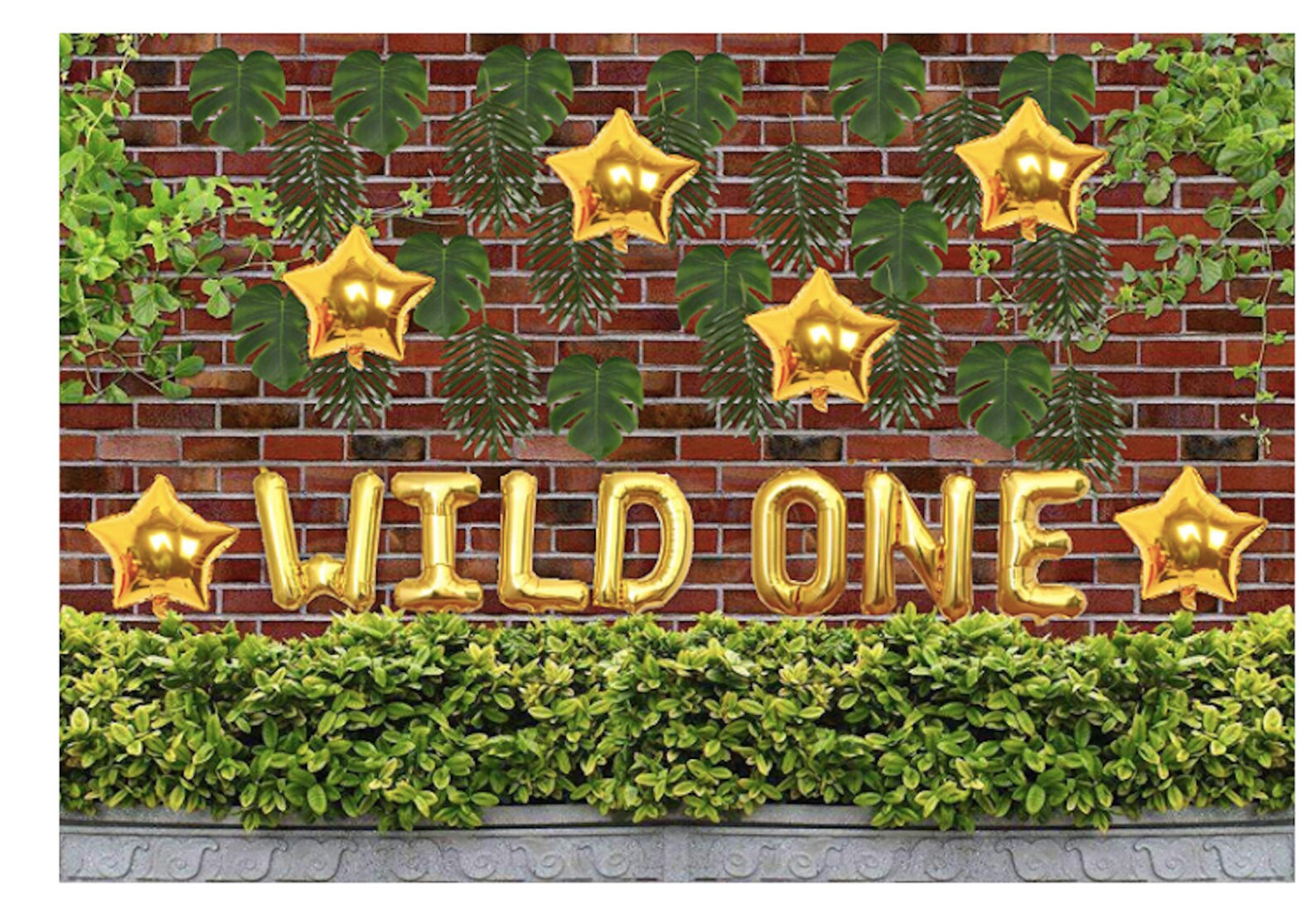 Wild One Balloons Birthday Party Decorations Wild One Cake | Etsy