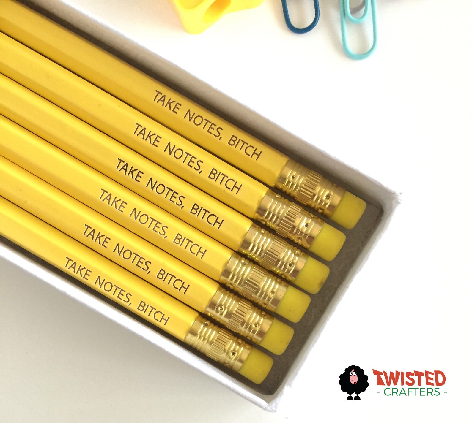 Take Notes Bitch, Bitchy Pencils, Sarcastic Pencils, Bitchy Pencil Set ...