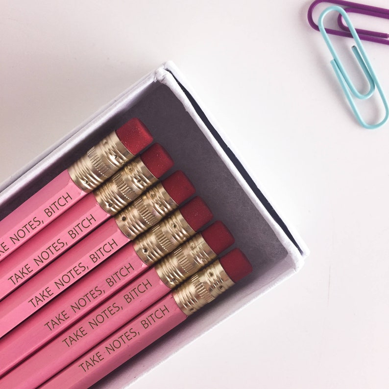 Take Notes Bitch, Bitchy Pencils, Sarcastic Pencils, Bitchy Pencil Set ...