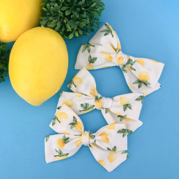 Fruit Hair Clips - Etsy