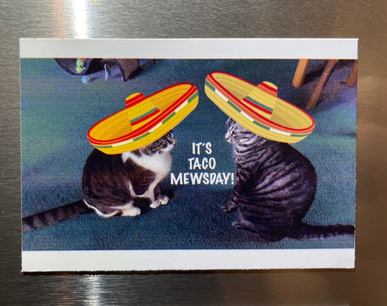 Taco Mewsday Fridge Magnets, Cute Cat Refrigerator Magnets, Cats in ...