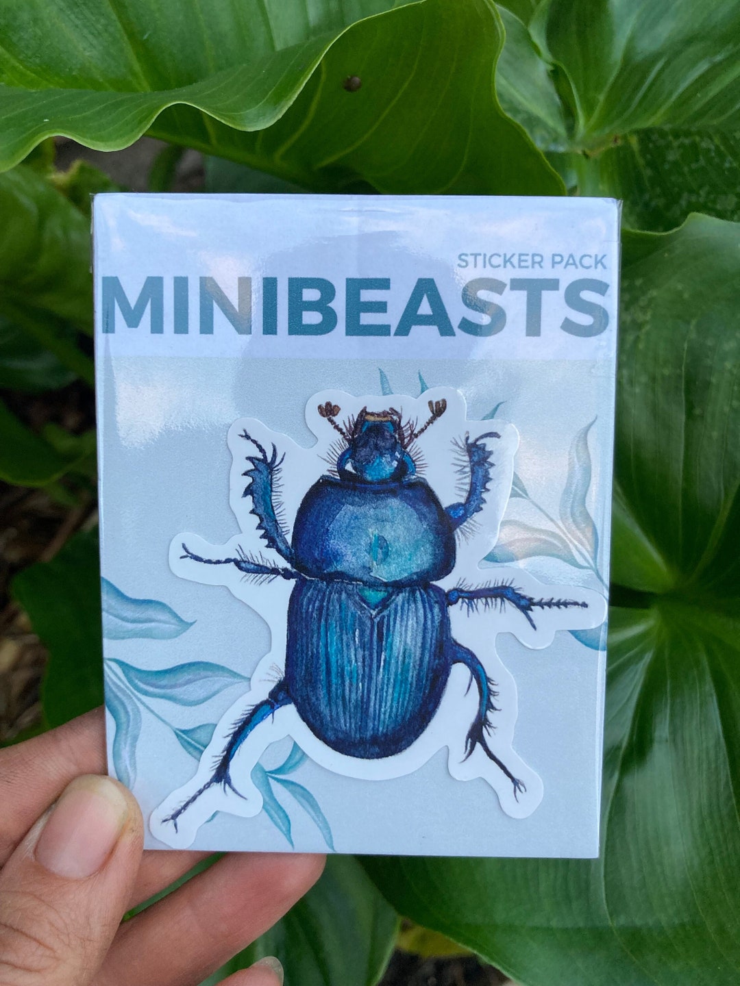 Minibeasts Sticker Pack Vinyl Stickers Waterproof Illustrated Sticker ...
