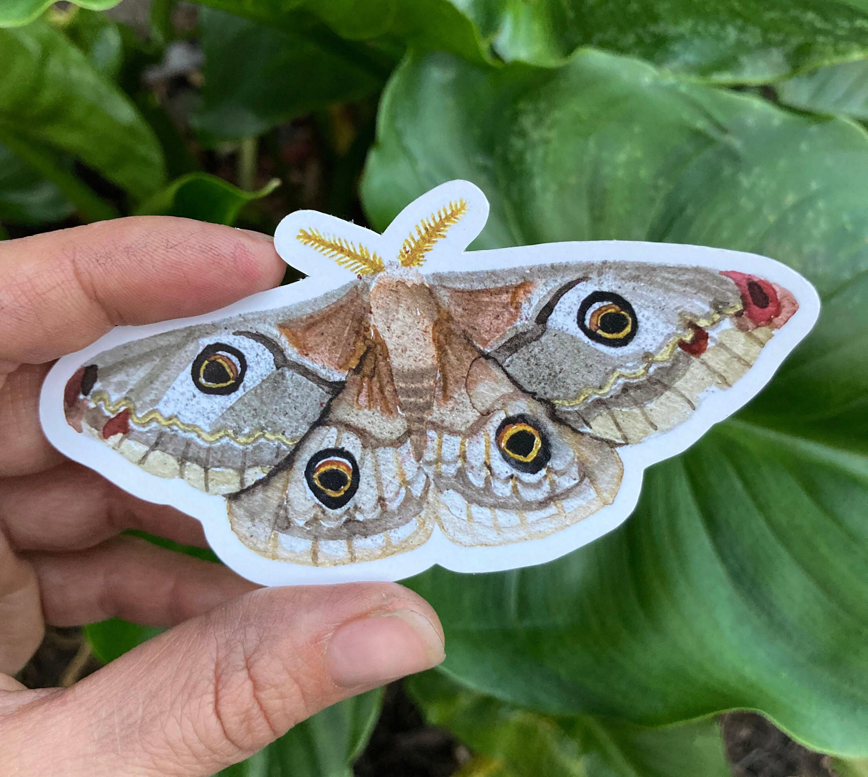 Minibeasts Sticker Pack - Vinyl Stickers - Waterproof Illustrated ...