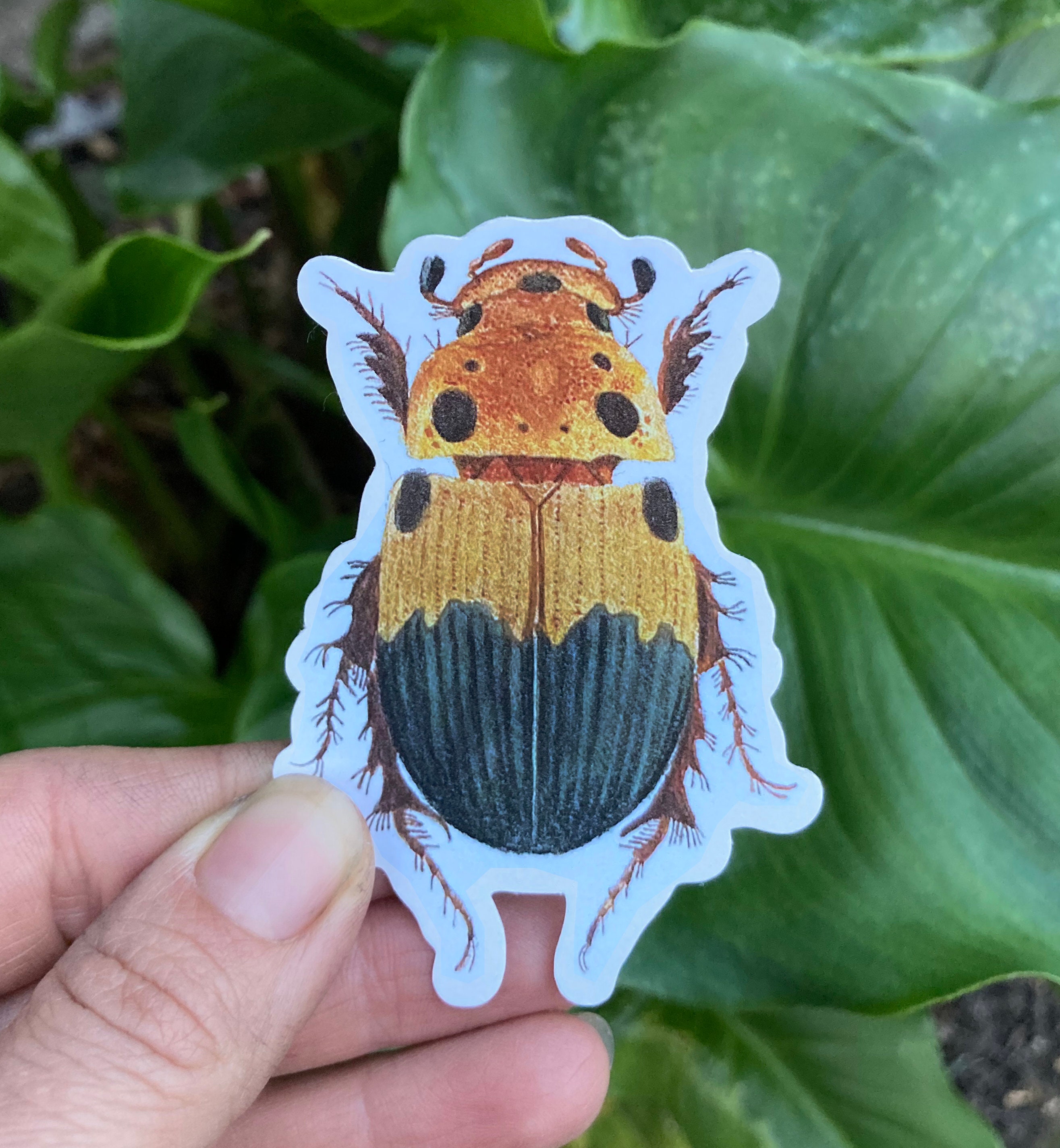 Minibeasts Sticker Pack - Vinyl Stickers - Waterproof Illustrated ...
