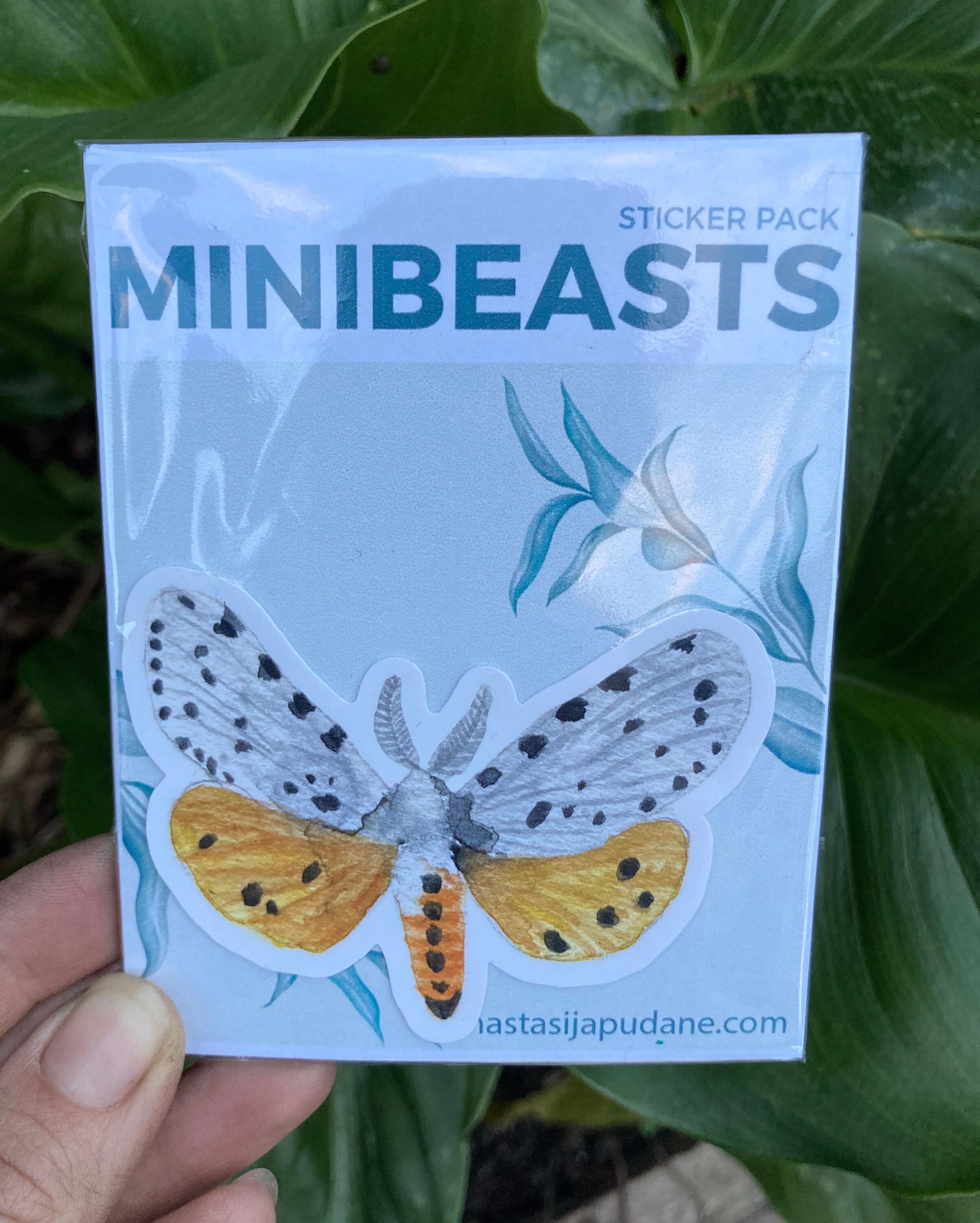 Minibeasts Sticker Pack - Vinyl Stickers - Waterproof Illustrated ...