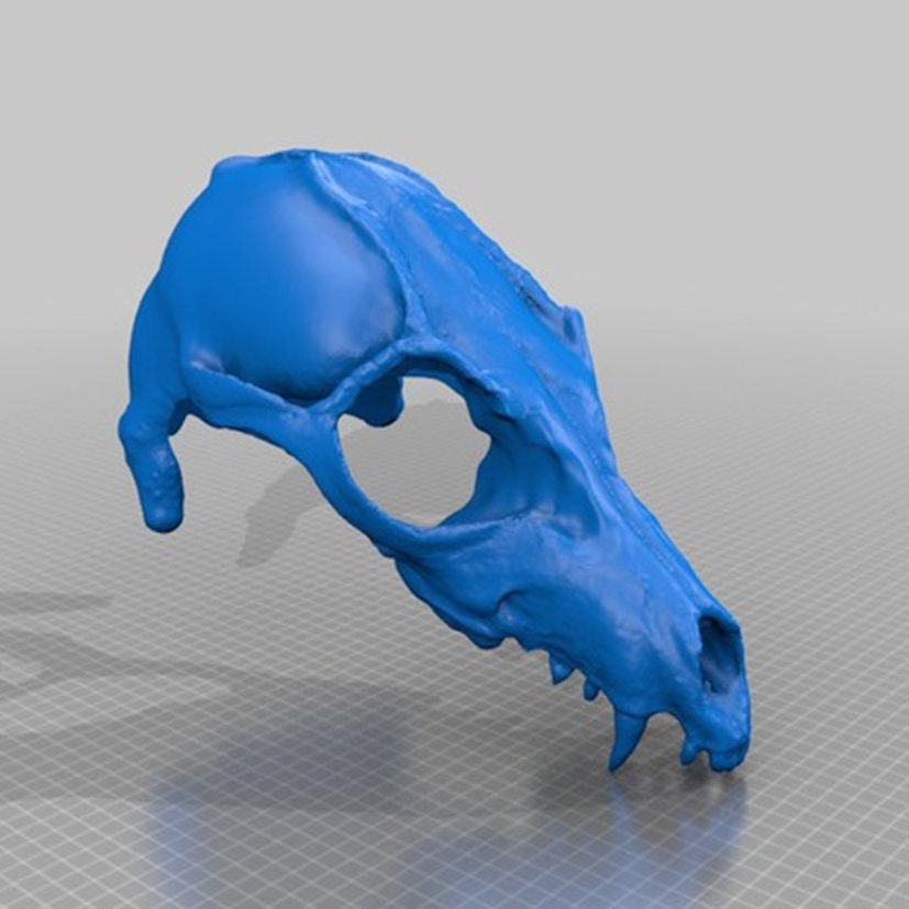 140 Skulls Big Pack - Stl 3d Printable - Etsy