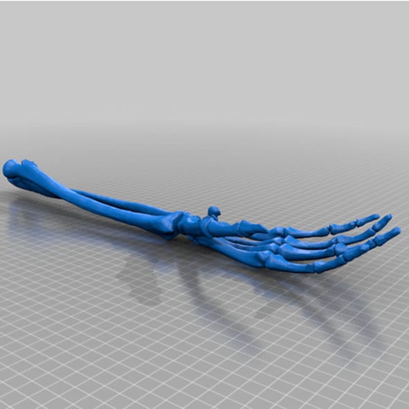 Over 30 Human Anatomy Parts 3D Printable Stl - Etsy