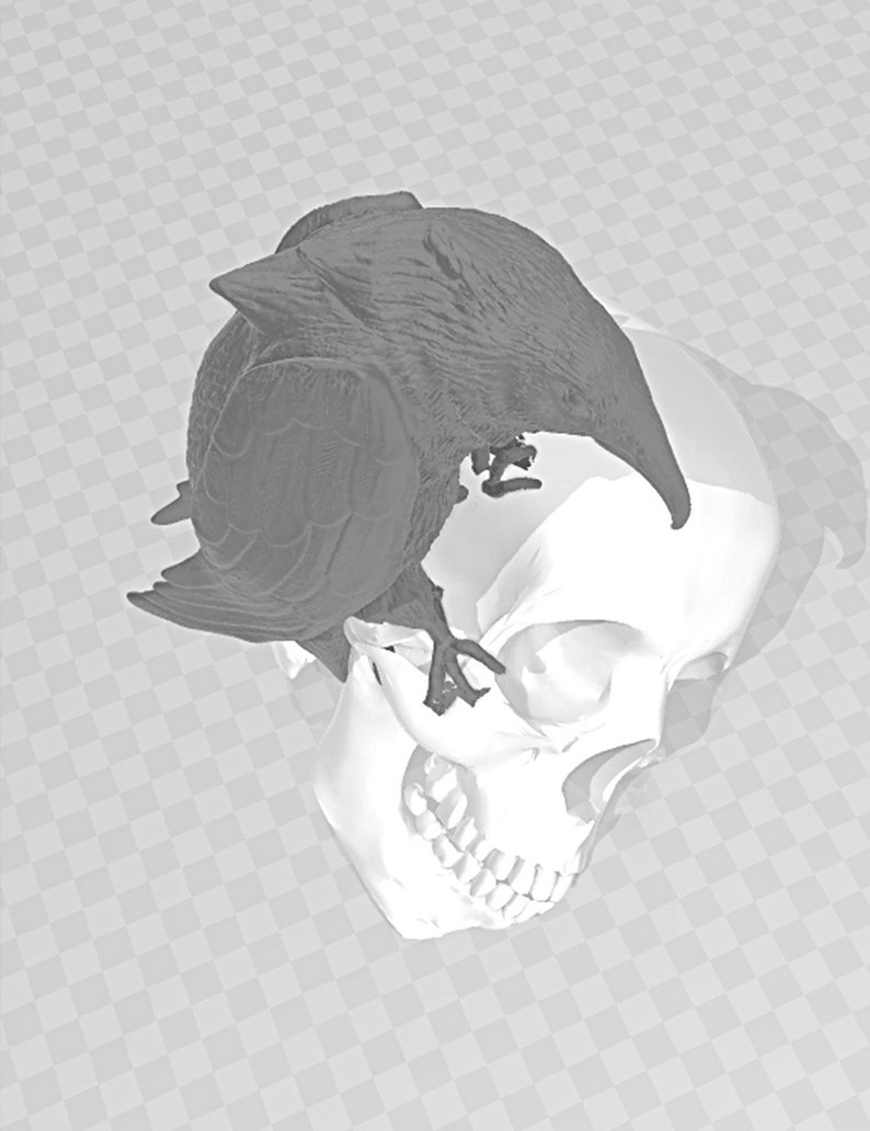 Skull Raven 3d Printable STL - Etsy