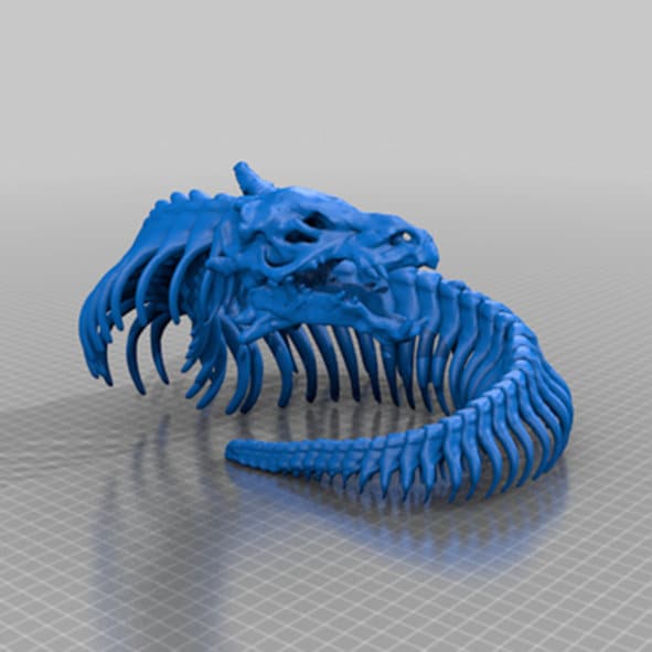 100 Animal Skeletons and Skulls - Stl Printable - Etsy