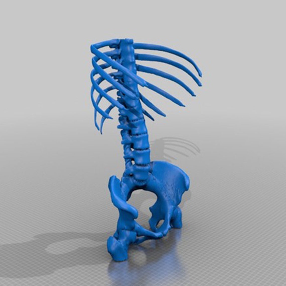 140 Skulls Big Pack Stl 3d Printable - Etsy