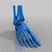 Over 30 Human Anatomy Parts- 3D Printable Stl - Etsy