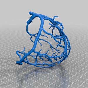 Over 30 Human Anatomy Parts- 3D Printable Stl - Etsy
