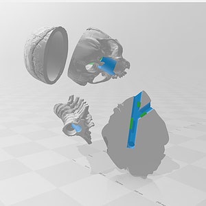 Skull Lamp - 3D Stl Printable - Etsy