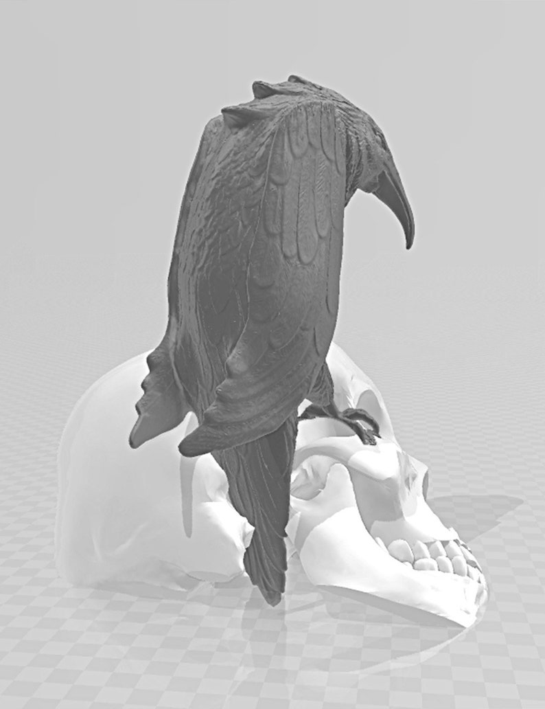 Skull Raven 3d Printable STL - Etsy