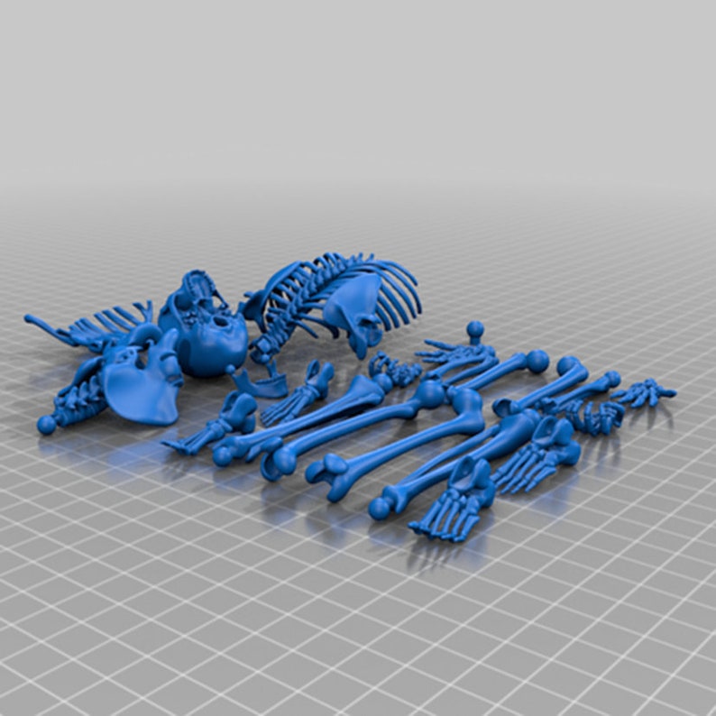 140 Skulls Big Pack Stl 3d Printable - Etsy