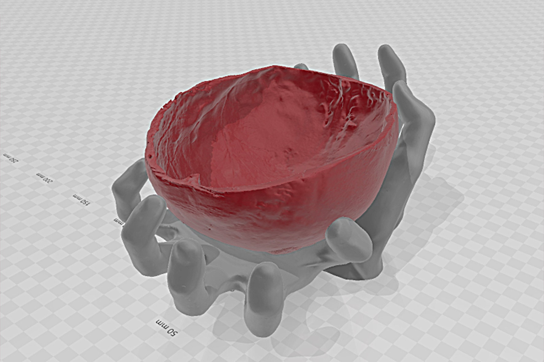 Skull Tray Hands 3d Stl Printable - Etsy Australia
