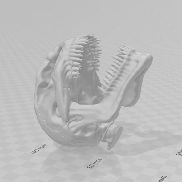 Skulls Big Pack - Over 210 Different Stl 3d Printable - Etsy