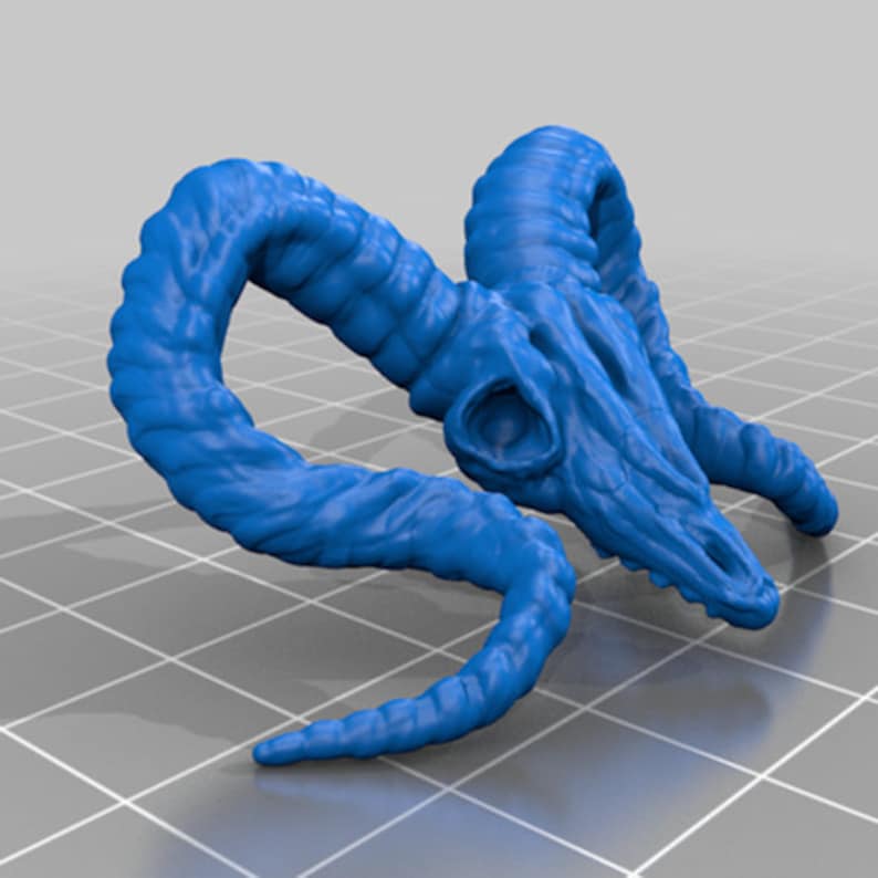 100 Animal Skeletons and Skulls Stl Printable - Etsy