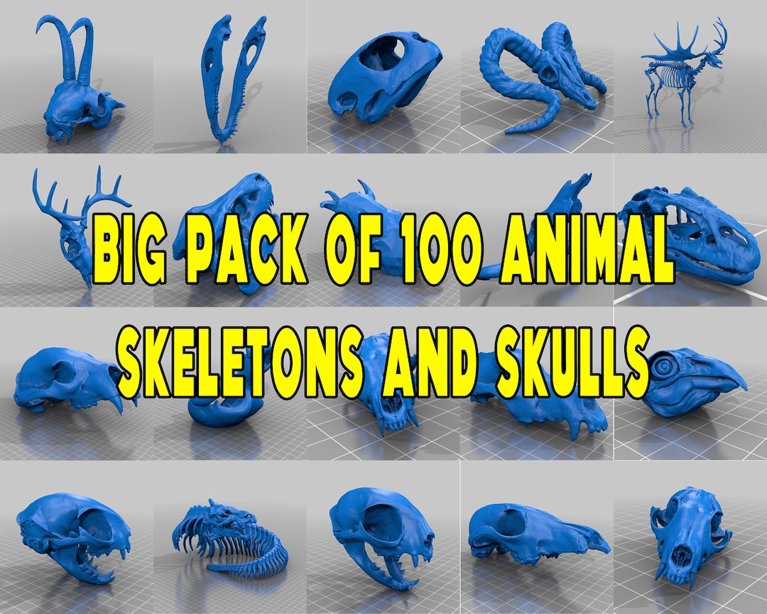 100 Animal Skeletons and Skulls - Stl Printable - Etsy