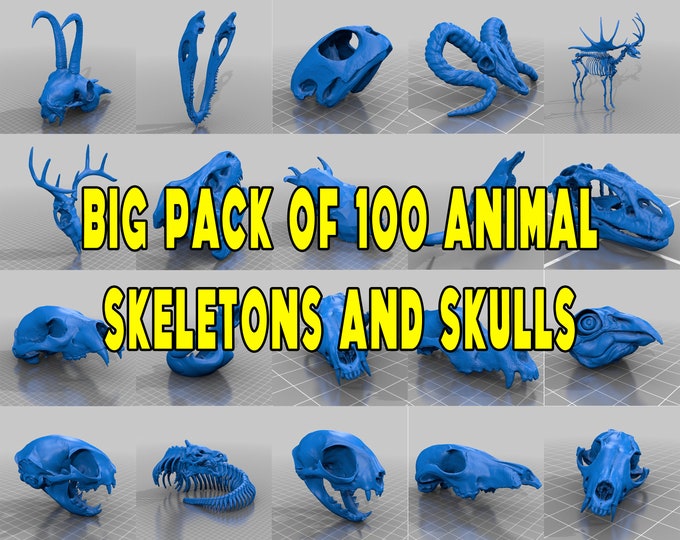 Over 30 Human Anatomy Parts- 3D Printable Stl - Etsy Canada