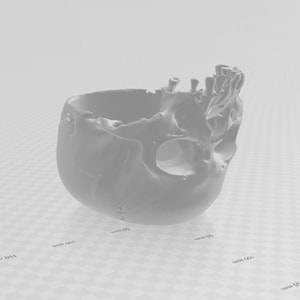 Over 60 Skull Vases and Bowls - 3d Stl Printable - Etsy