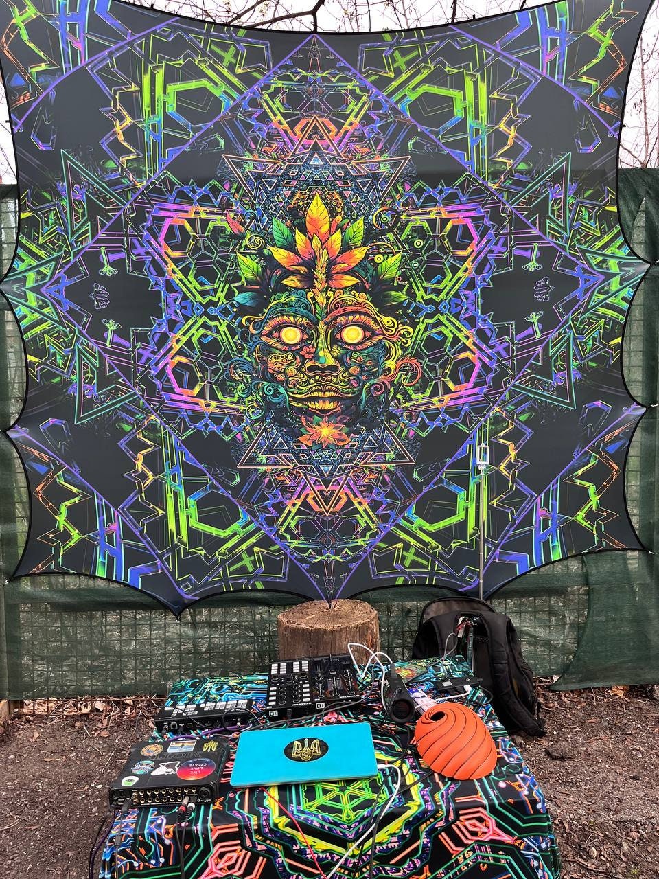 Sacral Medicine Art Print – UV Psychedelic Trance, Sacred Geometry ...