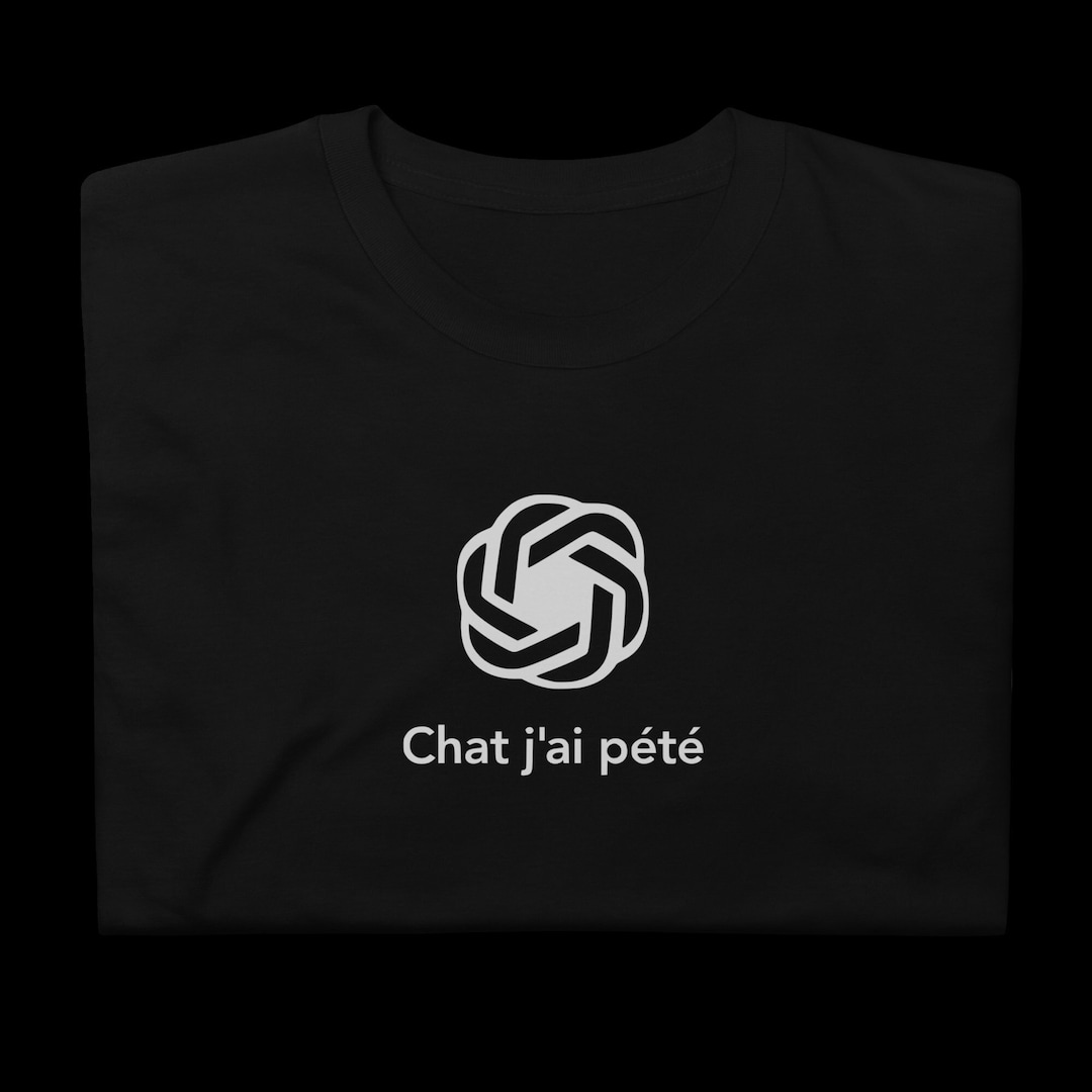 Chatgpt / Chat J'ai Pété (cat I Farted) | Dumb Shirt - Etsy