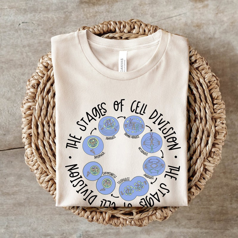 Biology Ugly Sweater - Etsy