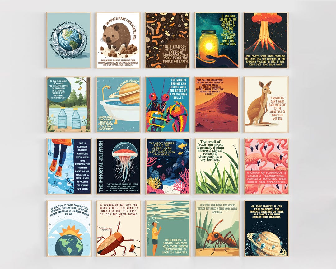 Funny Science Class Posters Set 2 | Hilarious Facts Science Teacher ...