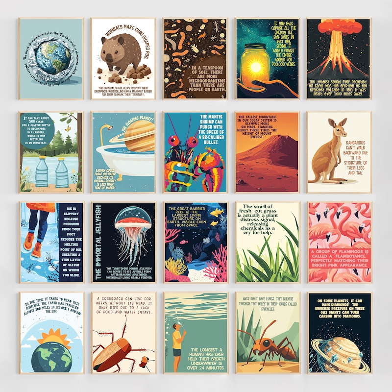 Sample Paper Social Science Class 2025 2026 - Etsy Canada