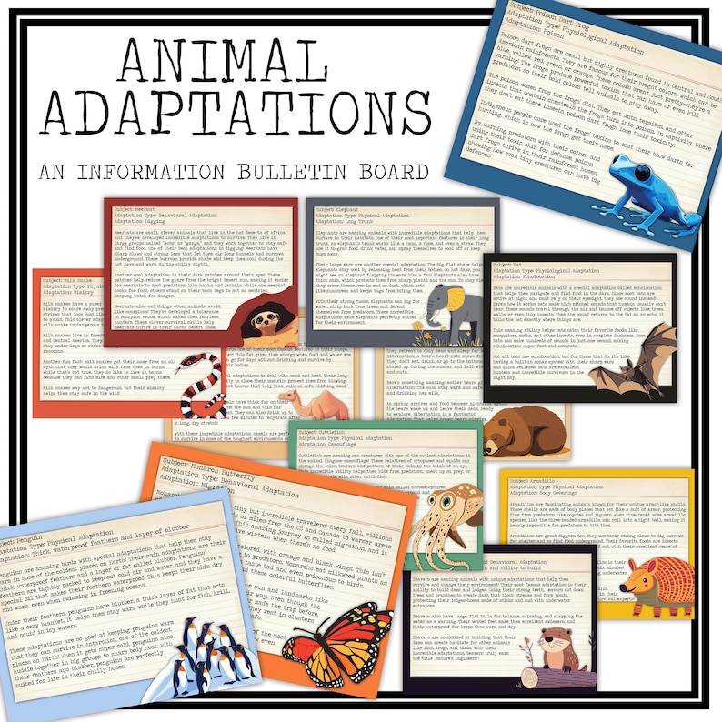 Animal Adaptations Bulletin Board | Classroom Science Decor Posters for ...